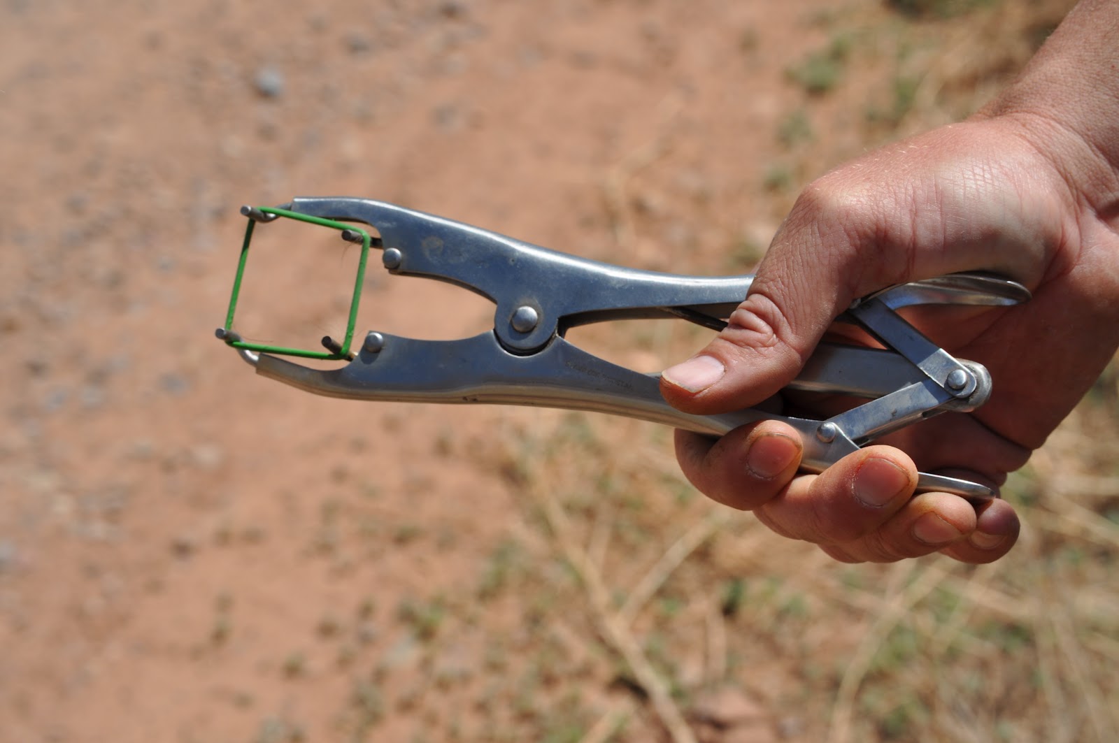 VET2017 LAS GROUP 7LAB 8